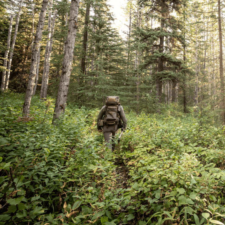 High-Precision Hunting Rifles | CVA